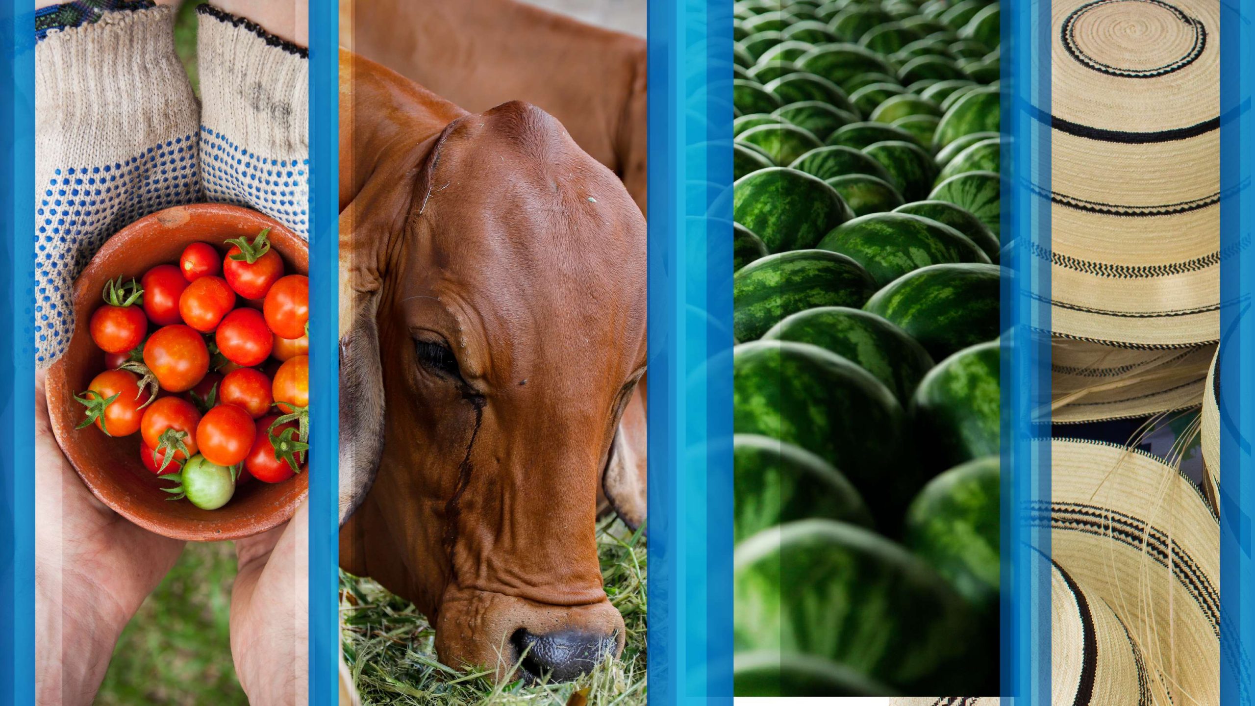 Productos para la Exportación y Empresas Exportadoras – Página oficial ...